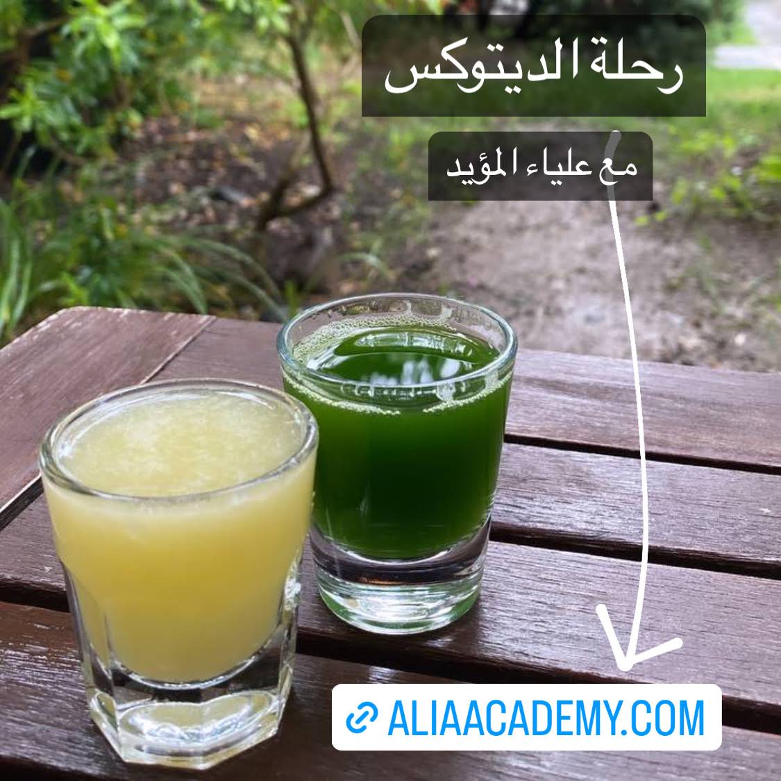 Post from Alia Almoayed علياء المؤيد