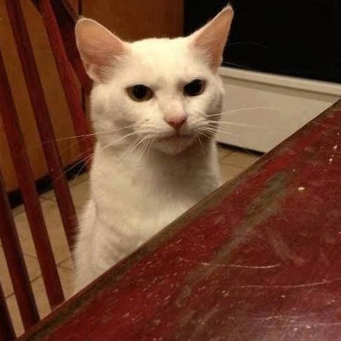 Post from Kai Notebook