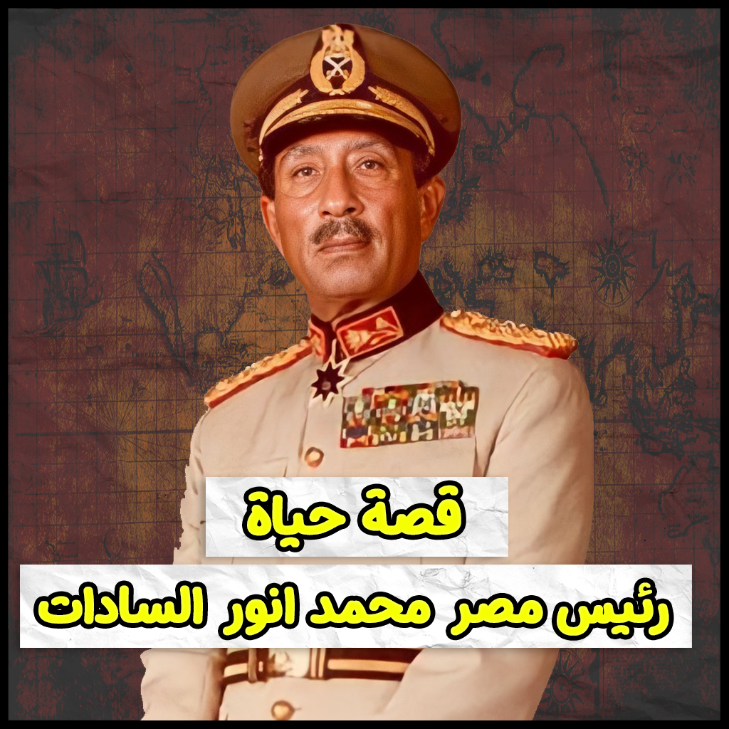 Post from عمرو هريدي - Amr Haredy