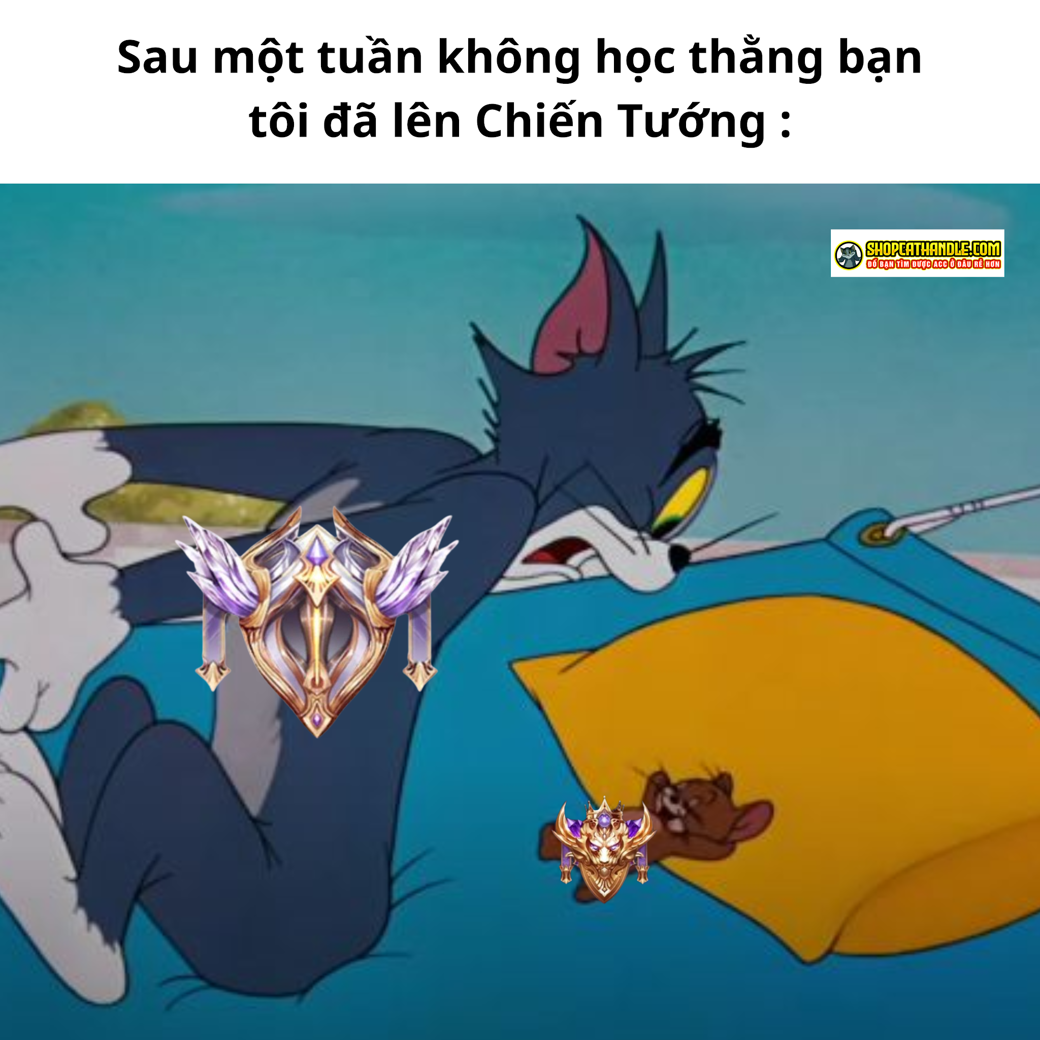 Post from CAT HANDLE