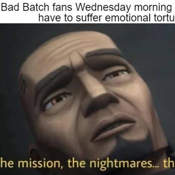 Post from Nicholas Damiani