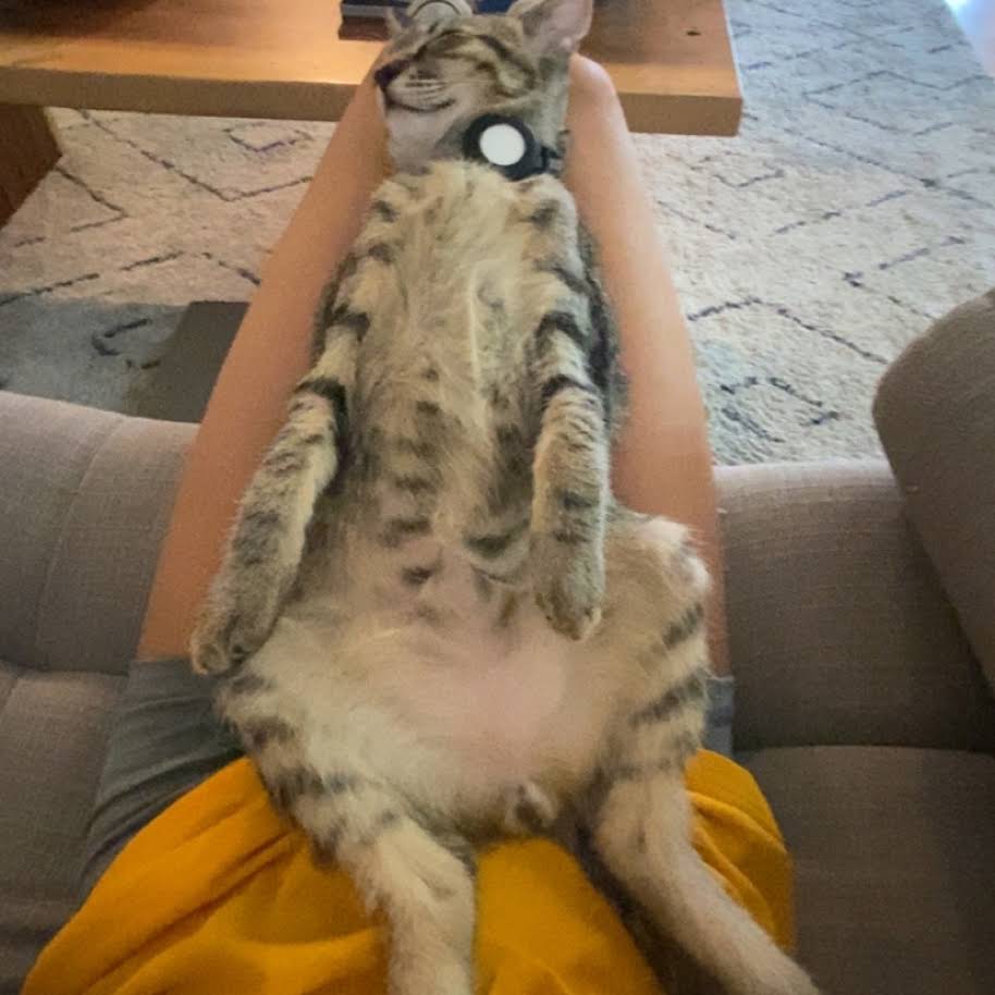 Post from india.slayz⁉️💗