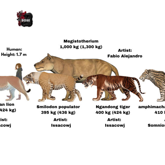 Post from Dizzy Rose