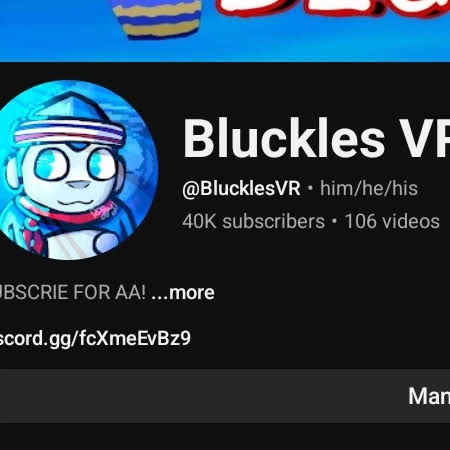 Post from Bluckles VR