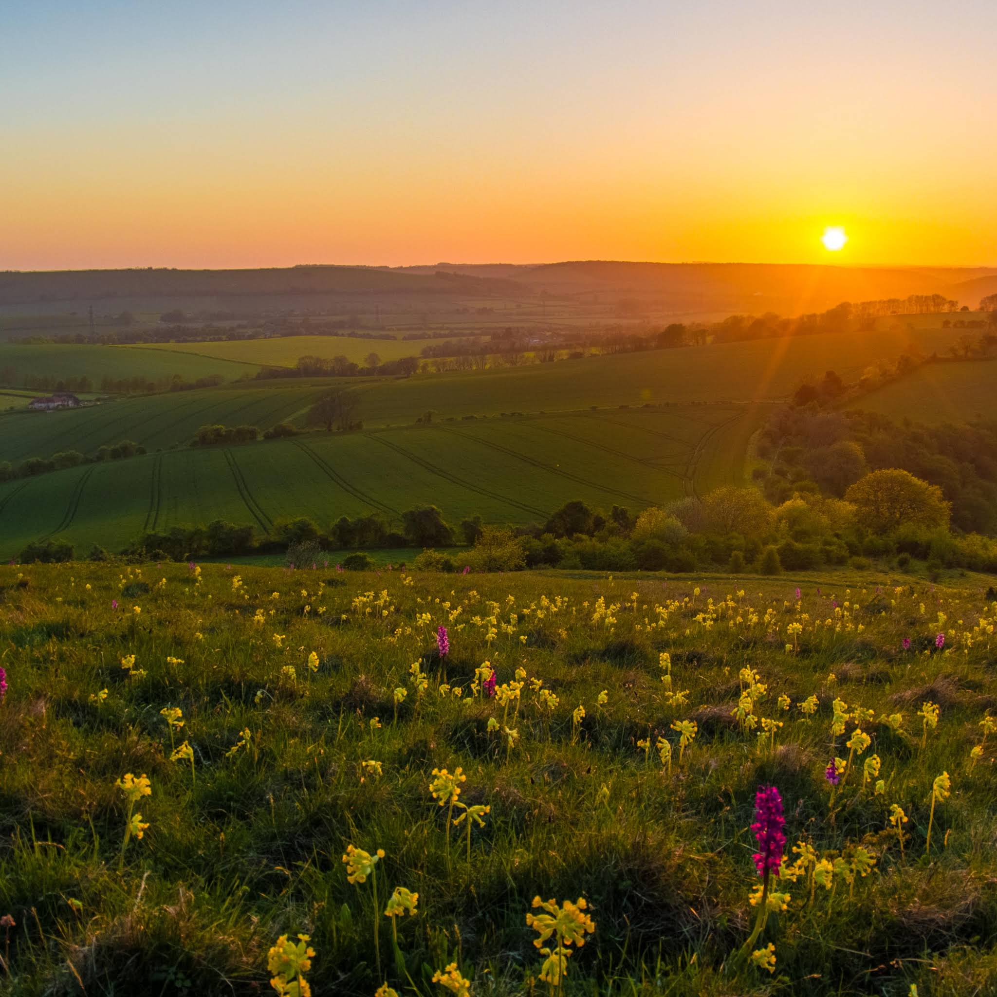 Post from Abbie Barnes | Spend More Time In The WILD