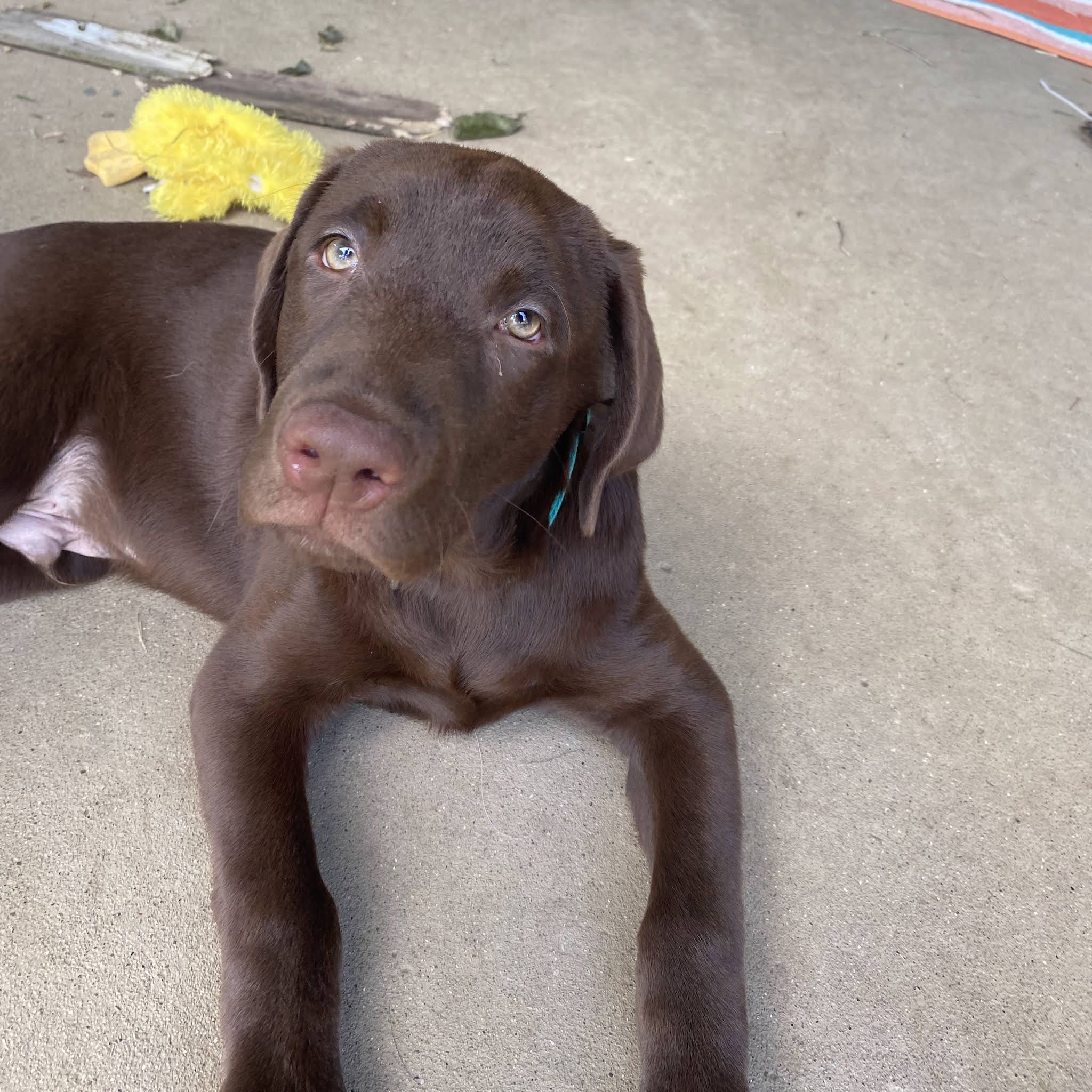 Post from Rusty plus