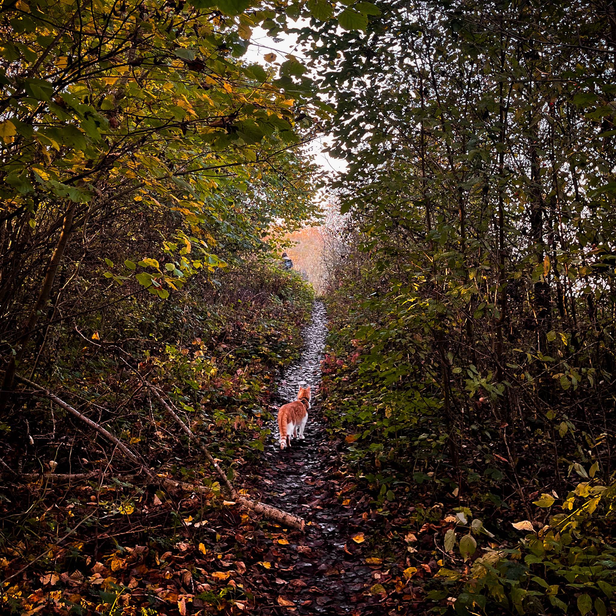 Post from Ros - Adventure Cat