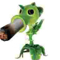 Post from pea dude