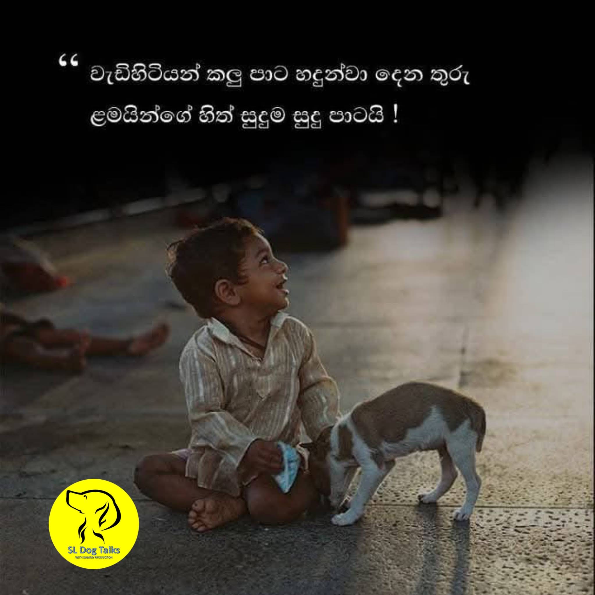 Post from SL Dog Talks