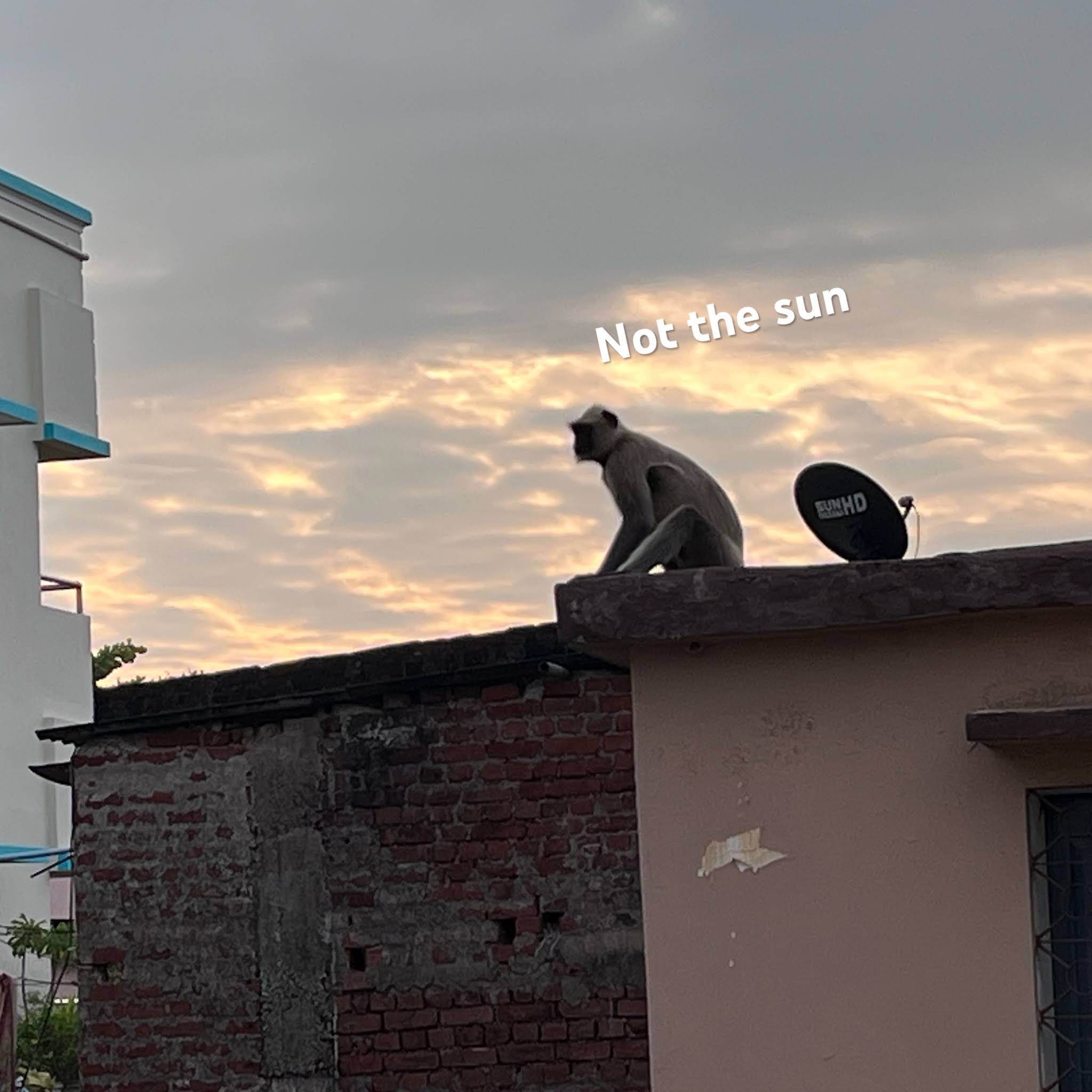 Post from Vimoh
