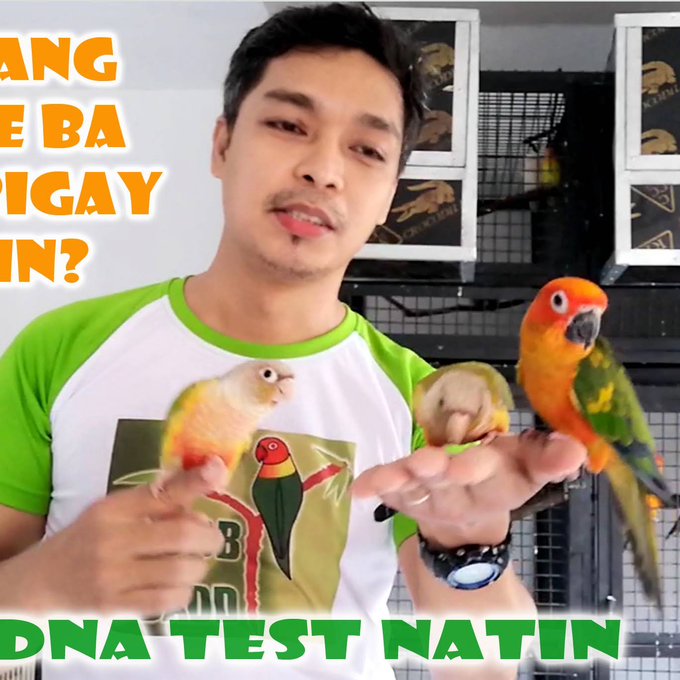 Post from Hobby ni Daddy