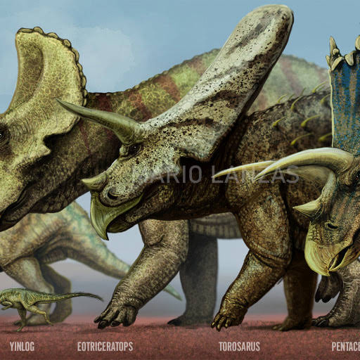 Post from Dizzy Rose