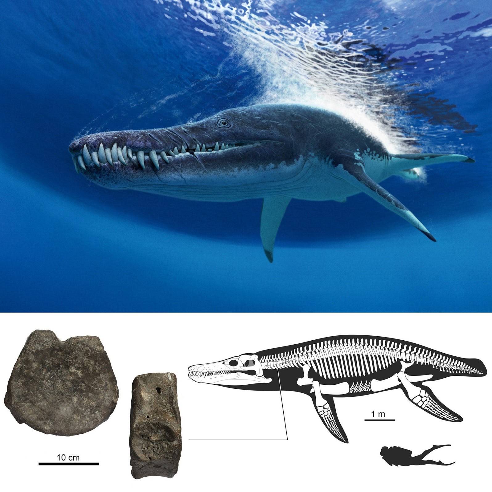 Post from Dizzy Rose