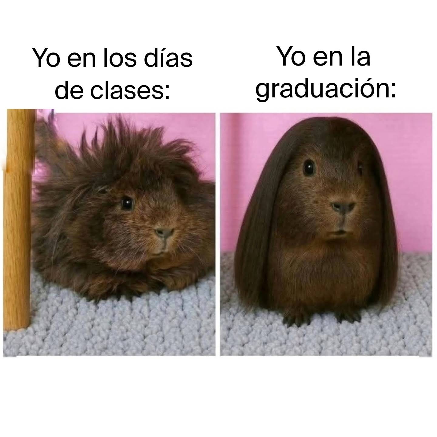 Post from SnowFlake Freak