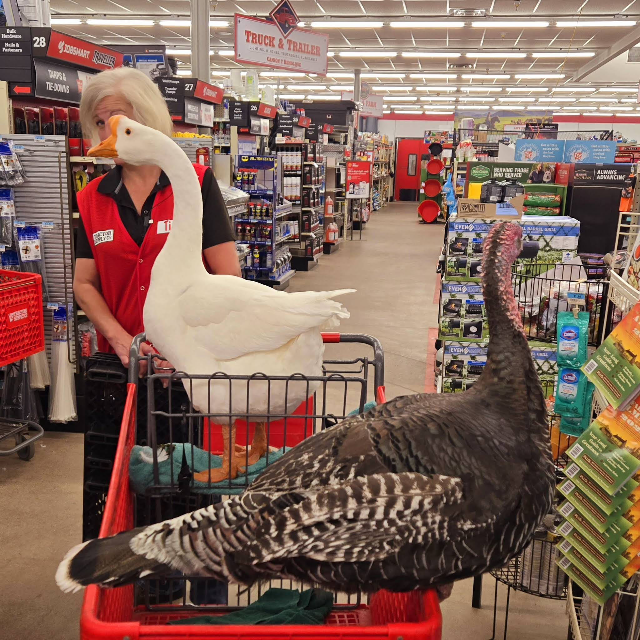 Post from George's Happy Goose family