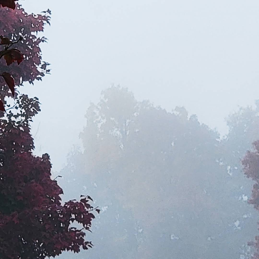 Post from DipperDog