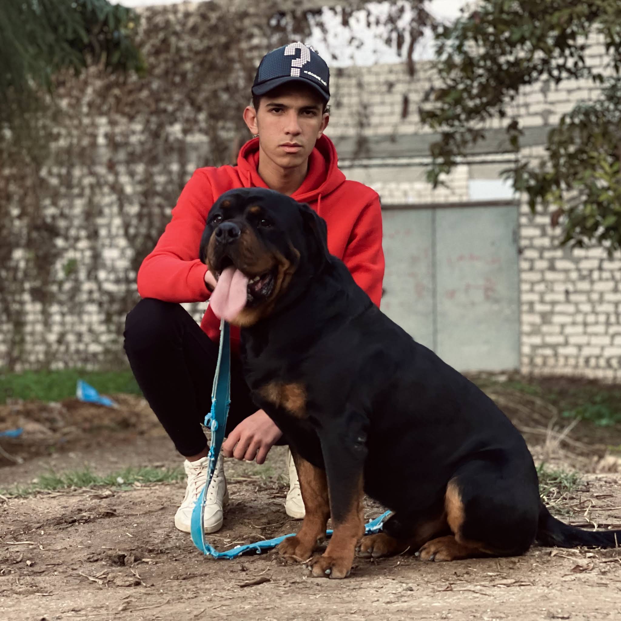 Post from Omar Ahmed - Animals