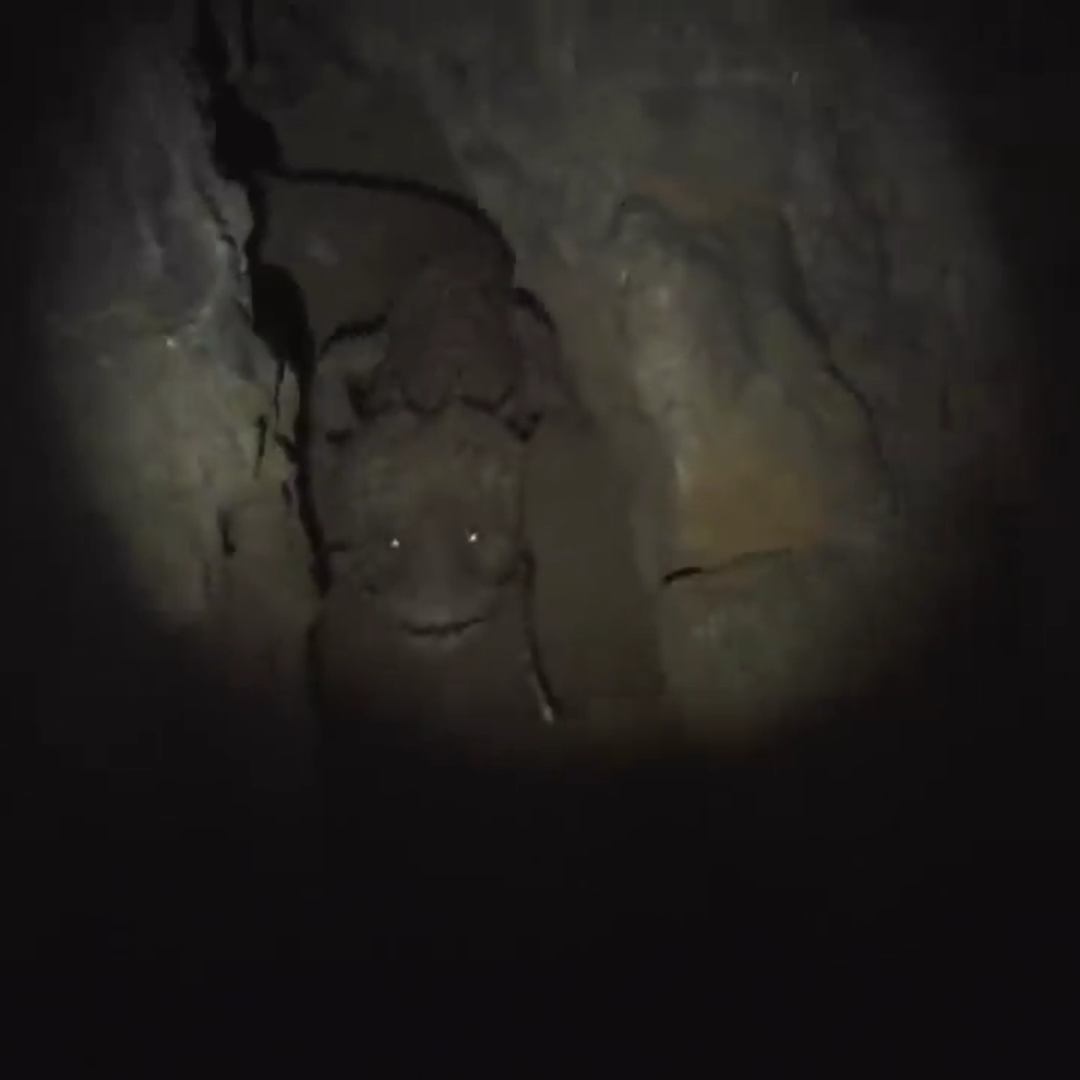 Post from Quillan Lockard