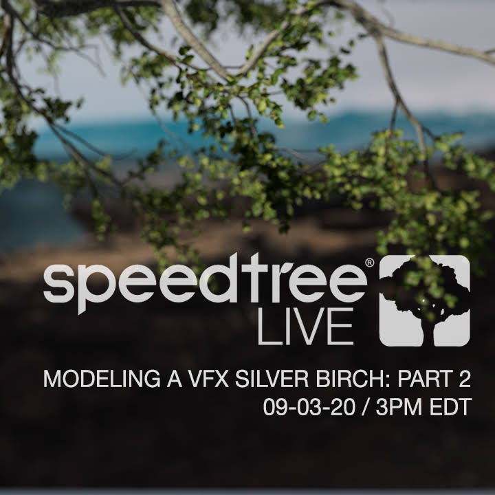 Post from SpeedTree