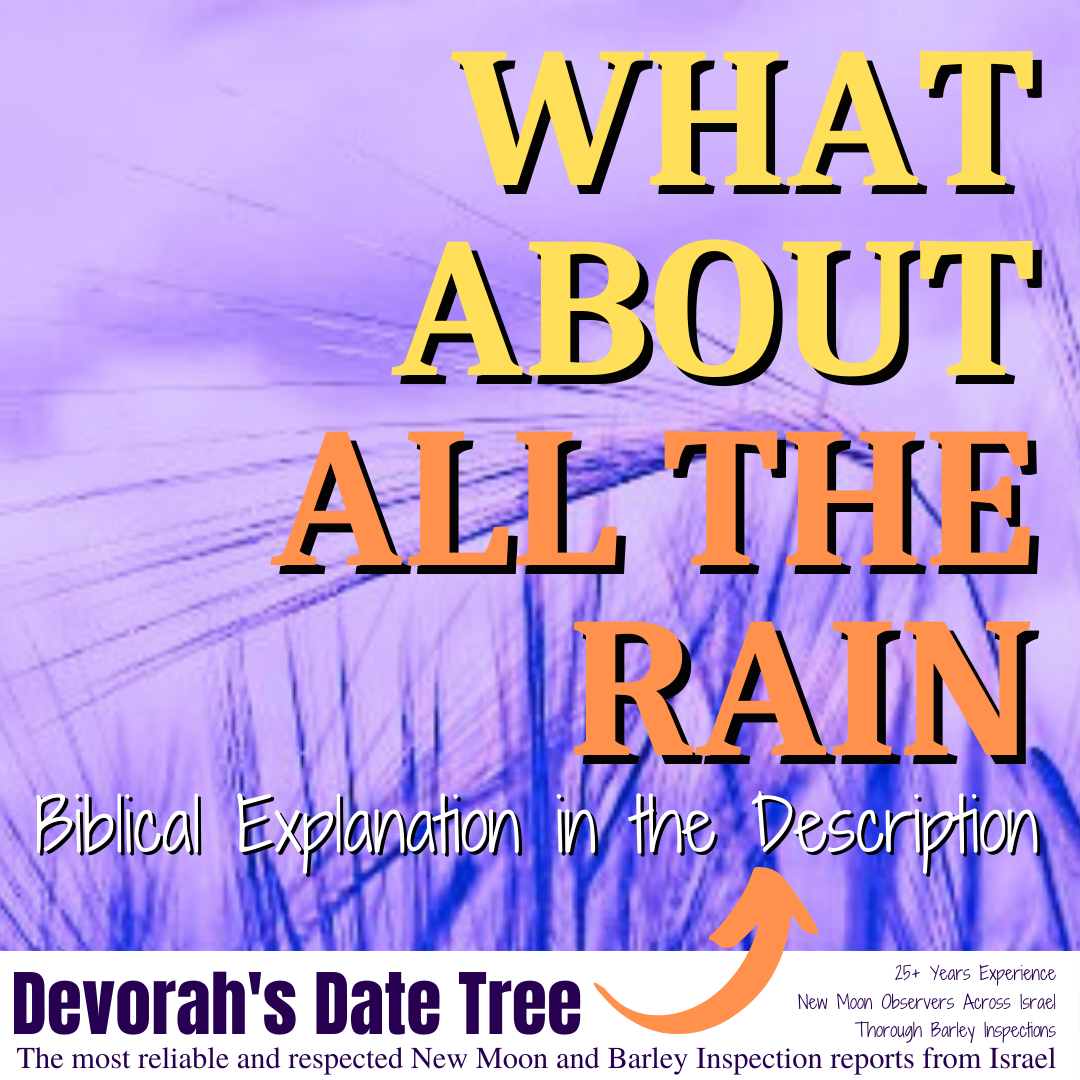 Post from Devorah's Date Tree - New Moon and Aviv Barley