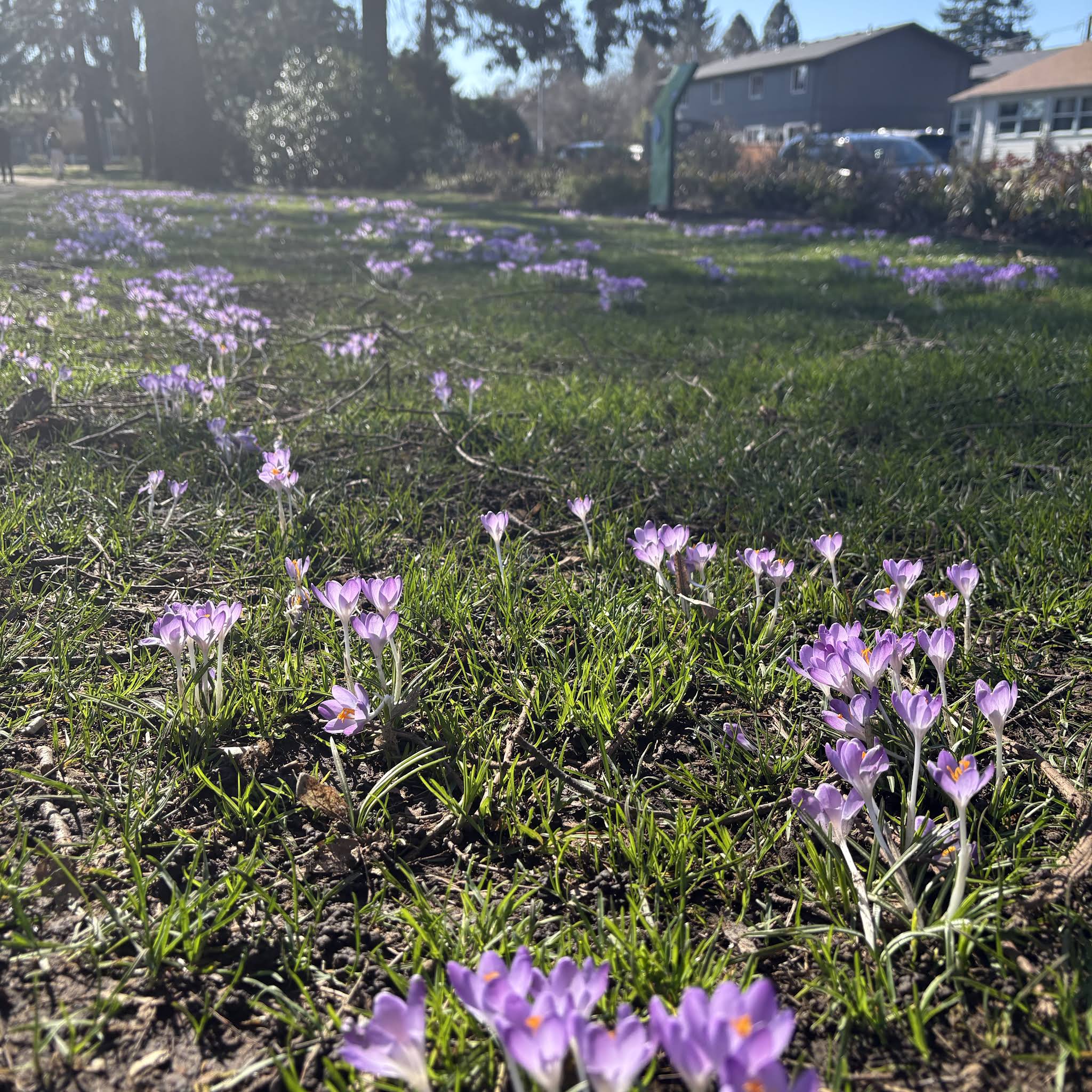 Post from Parkrose Permaculture