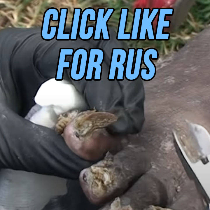 Post from Jim Nduruchi - Rise Up Society (RUS)