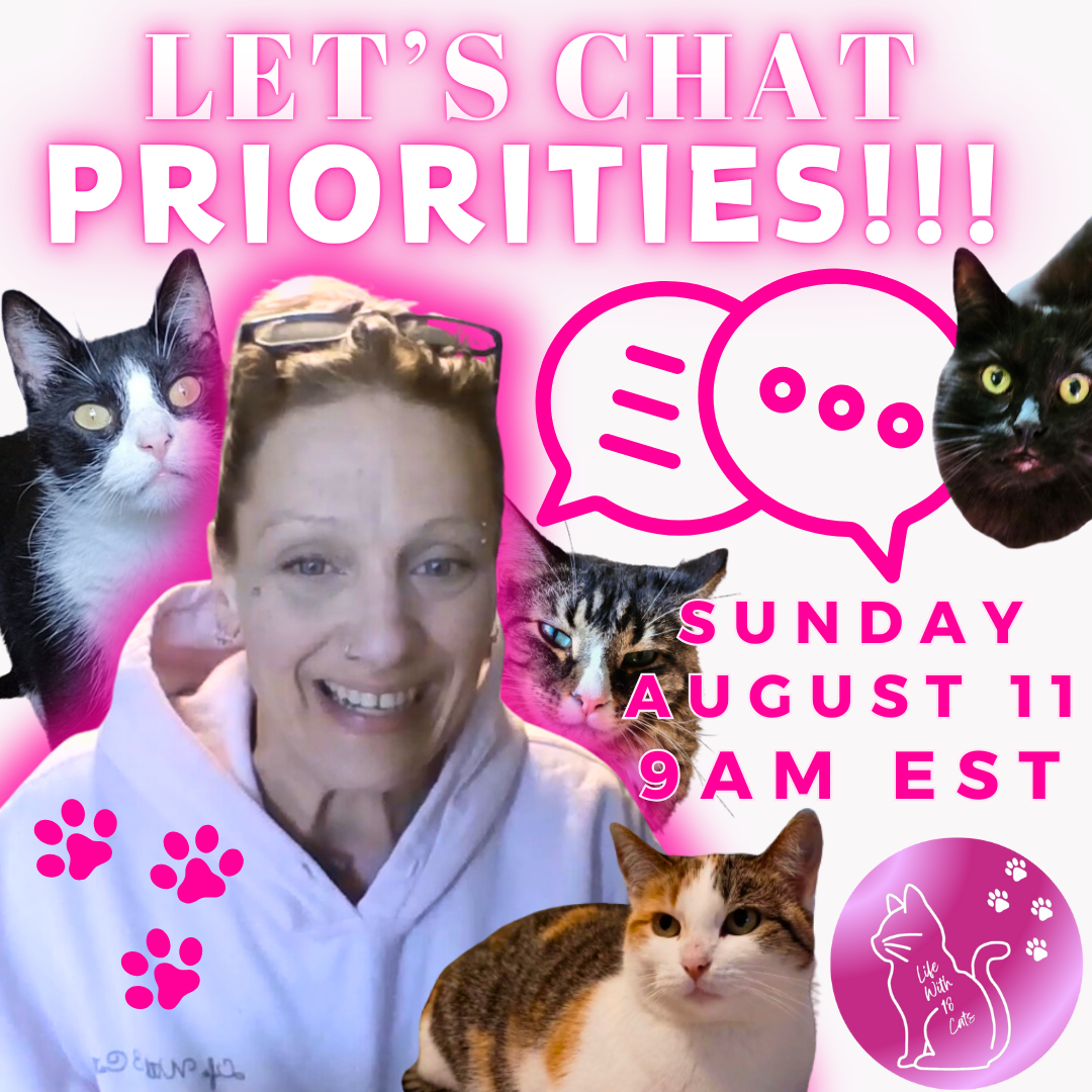 Post from Life With 18 Cats...Unedited