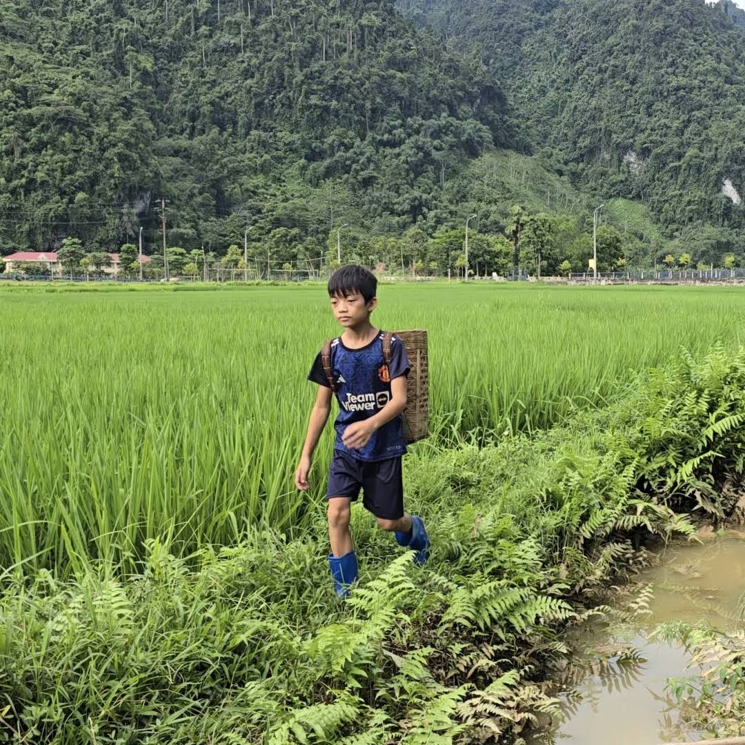 Post from Bac_wandering boy