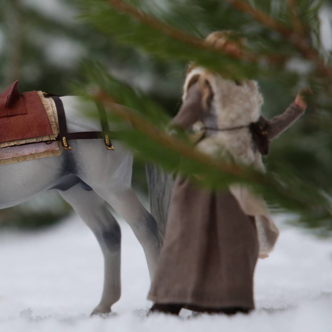 Post from Daisy Stalls