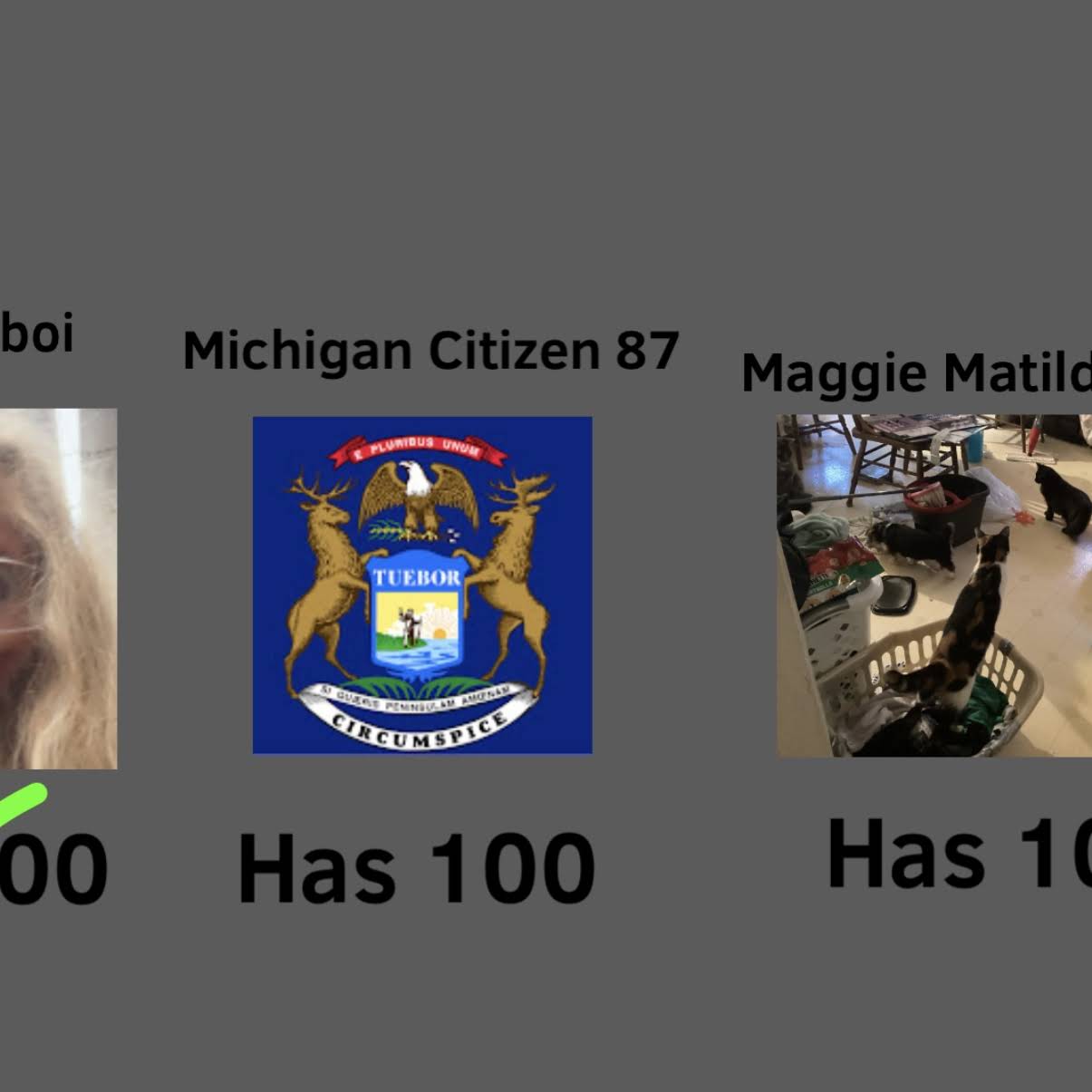 Post from Maggie Matilda Fred & Finn