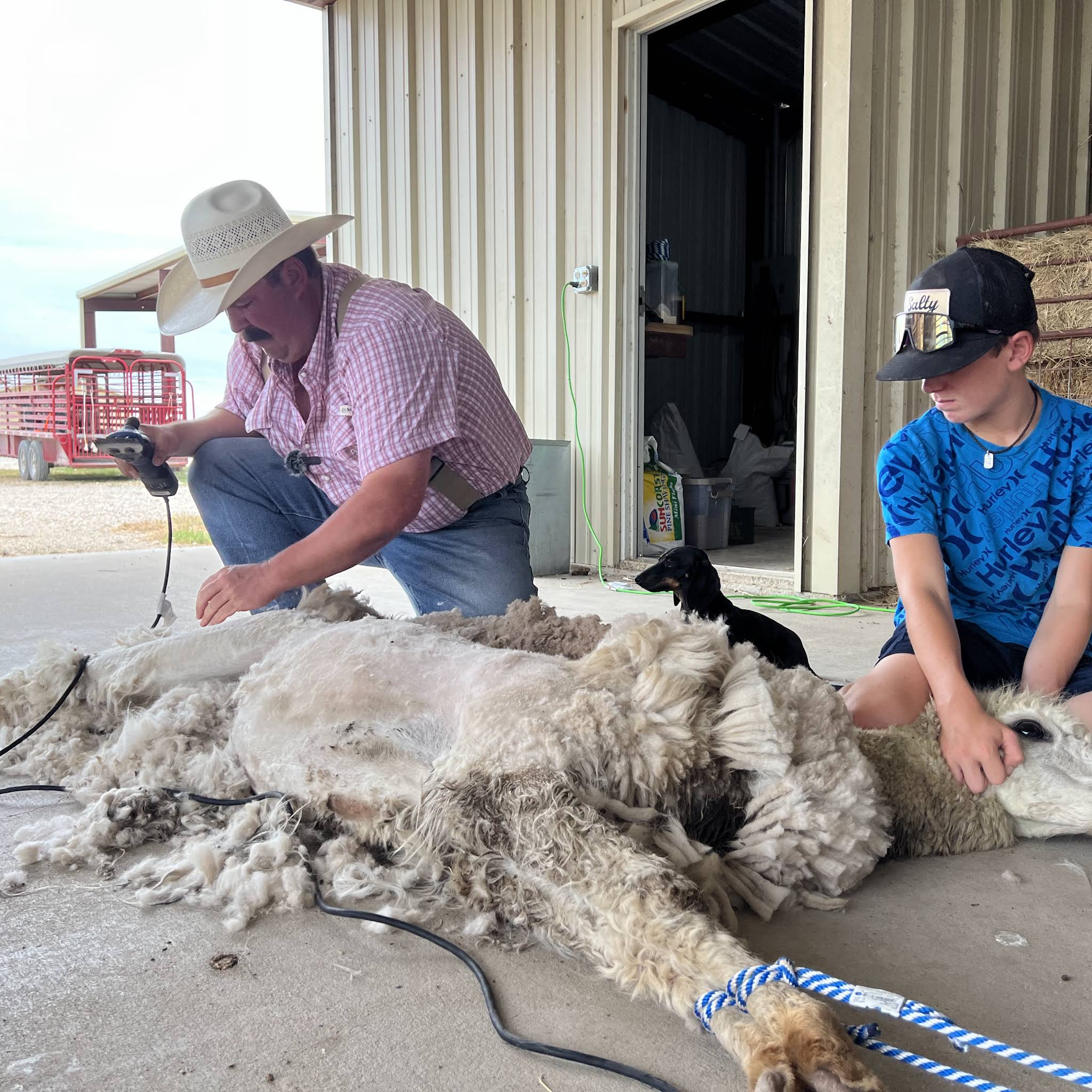 Post from Bar 7 Ranch