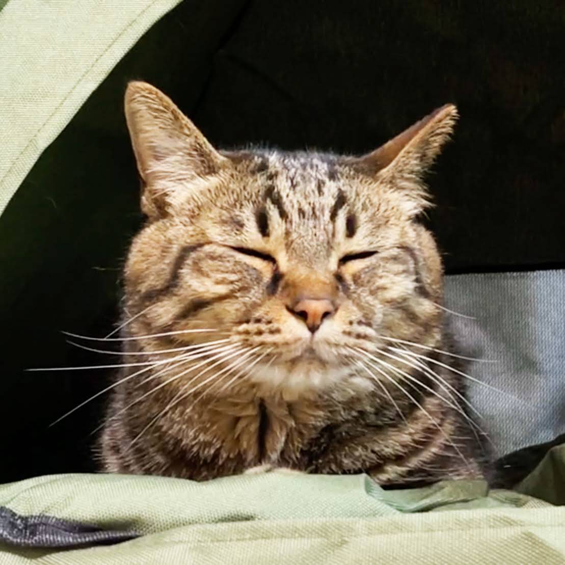 Post from Samoji & Hotane 's Daily Life