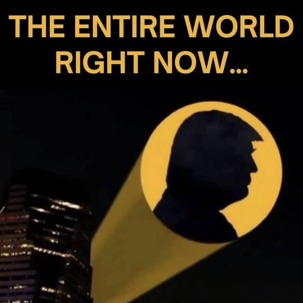 Post from Official Teddy Zane DogeWARRIOR