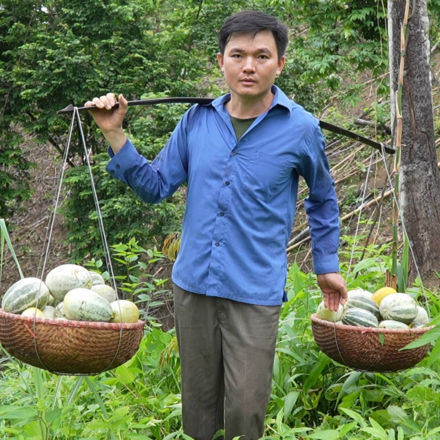 Post from Green forest life