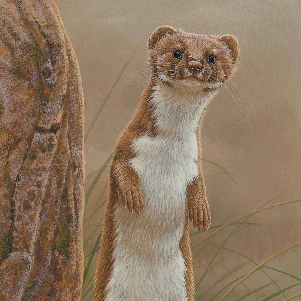 Post from Robert E Fuller