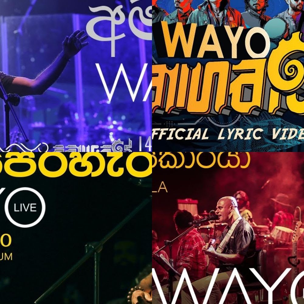 Wayo Collection