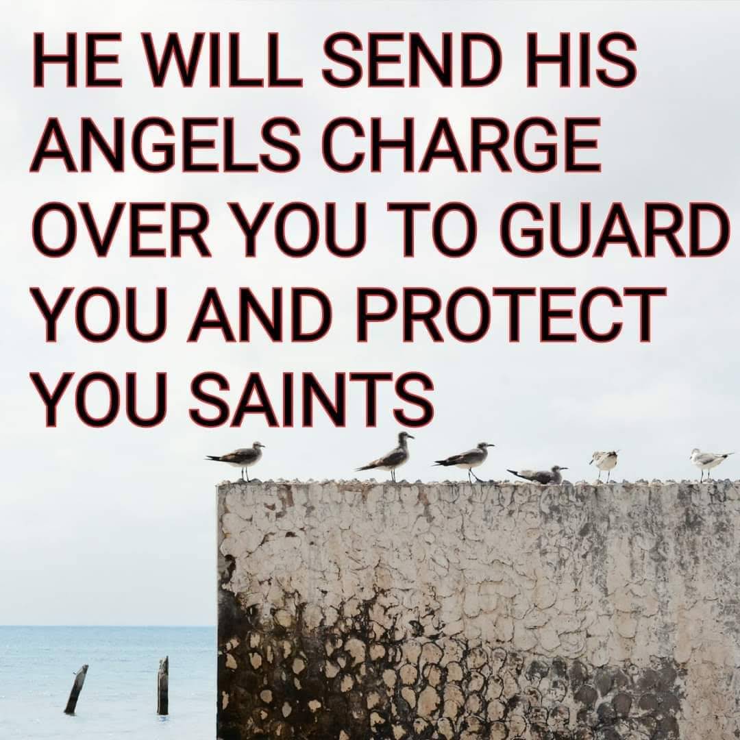 Post from Robert Clancy