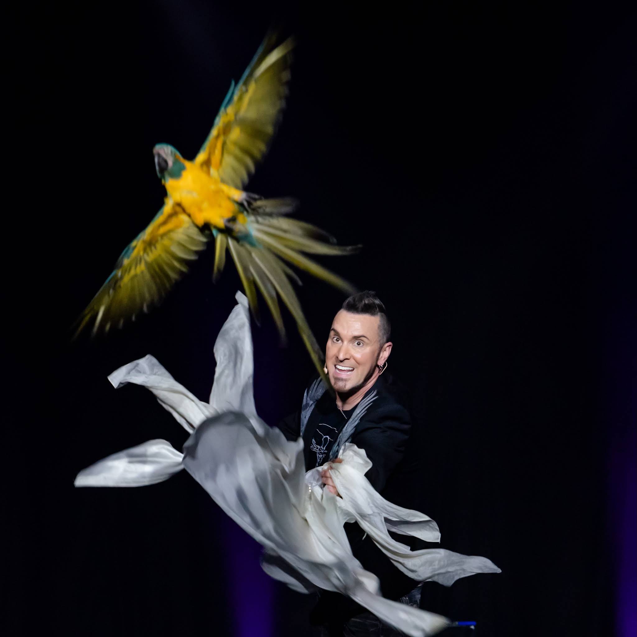 Post from BirdTricks