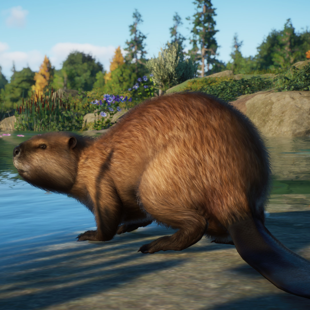 Post from Cesar Creates