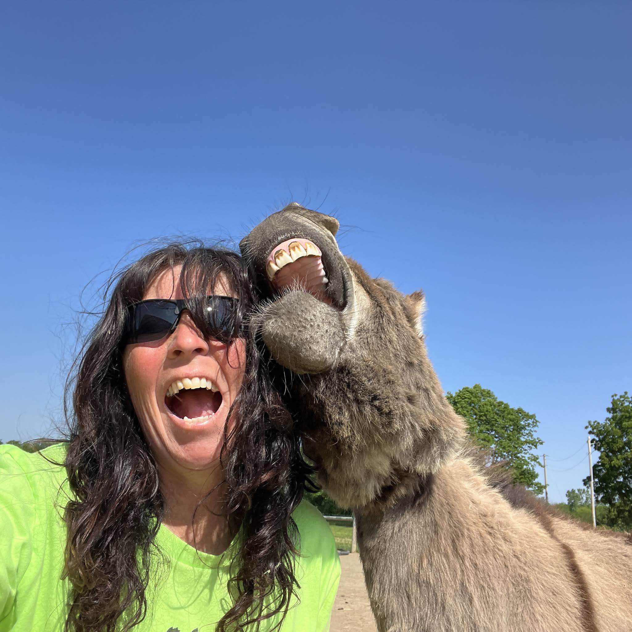 Post from One Happy Ass Farm