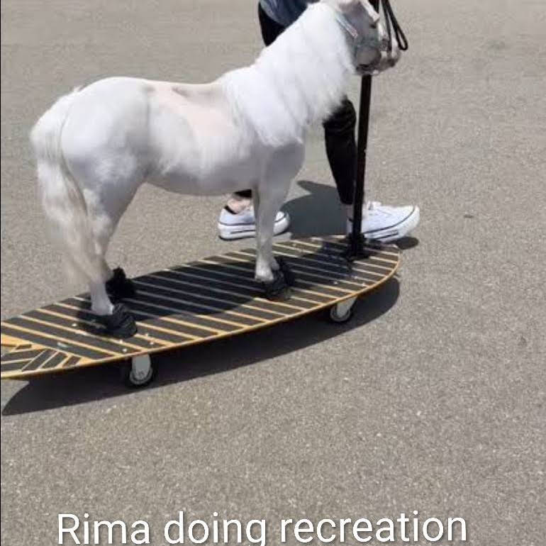 Post from Rima Evenstar