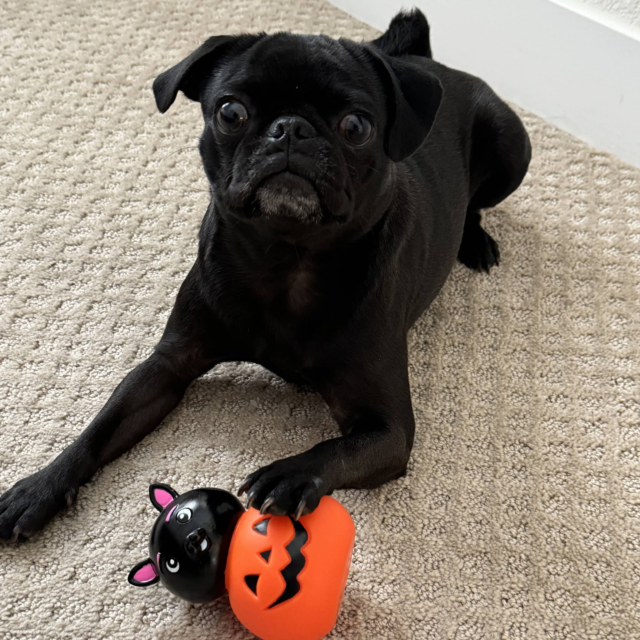 Post from Peachyymaddi