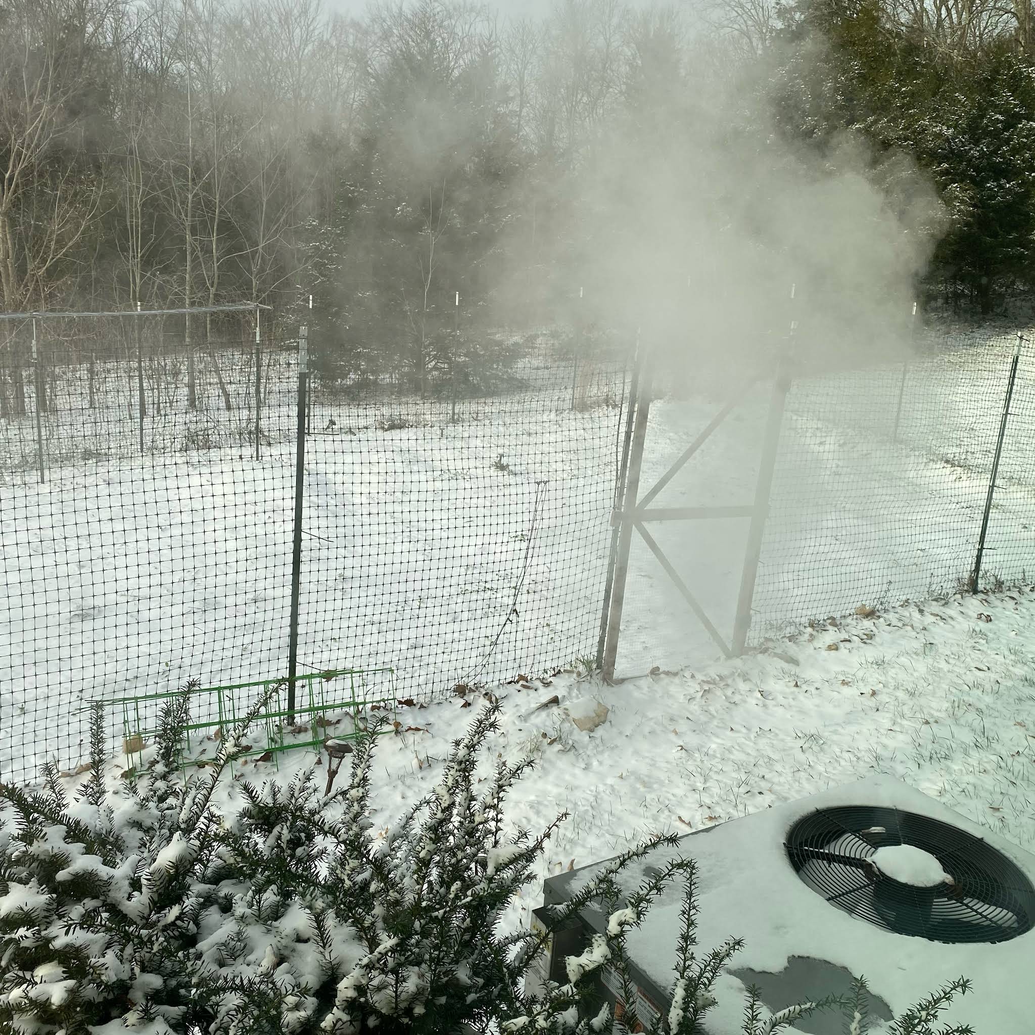 Post from Kaye Kittrell Late Bloomer