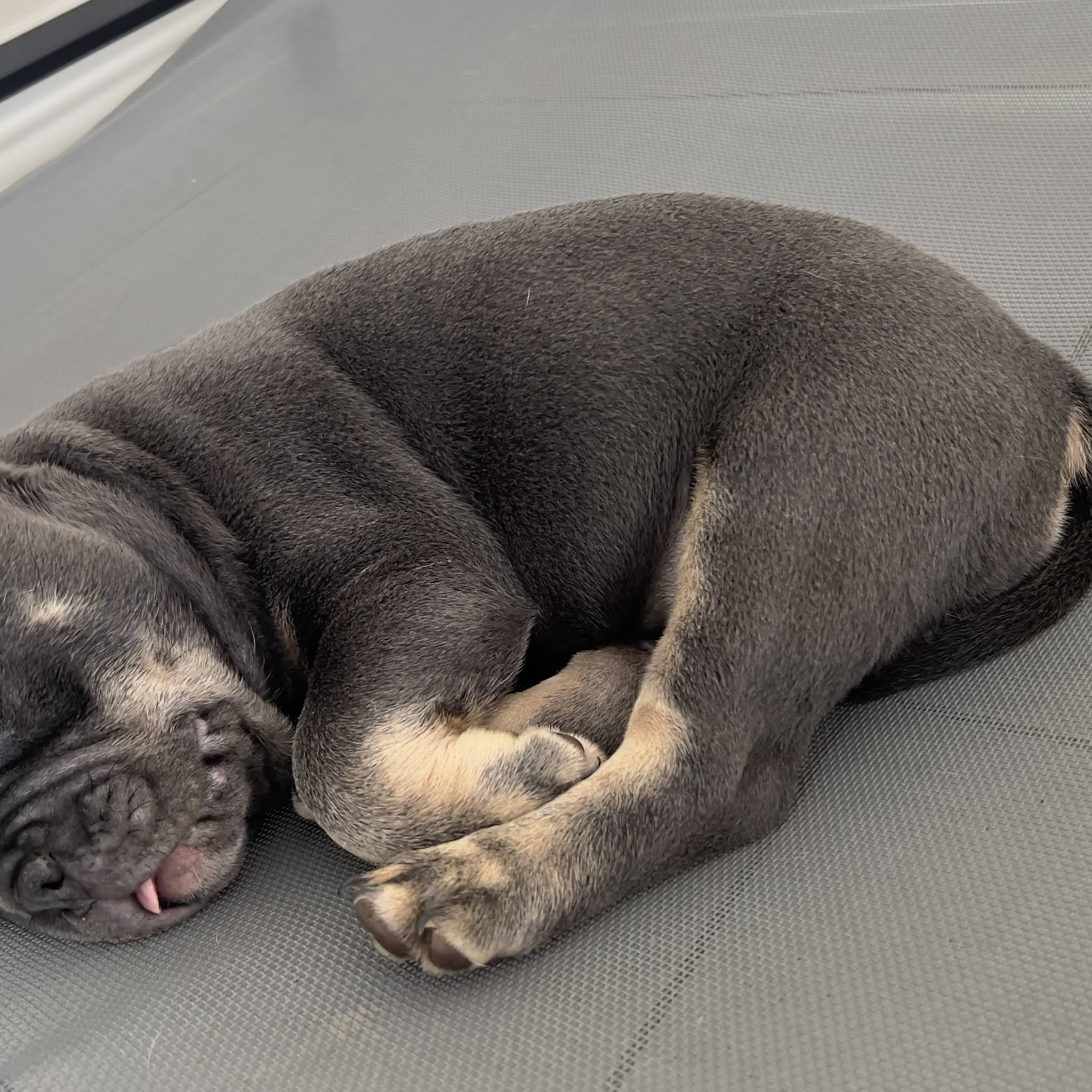 Post from Torvi, Lagertha, Harald and Astrid Smith