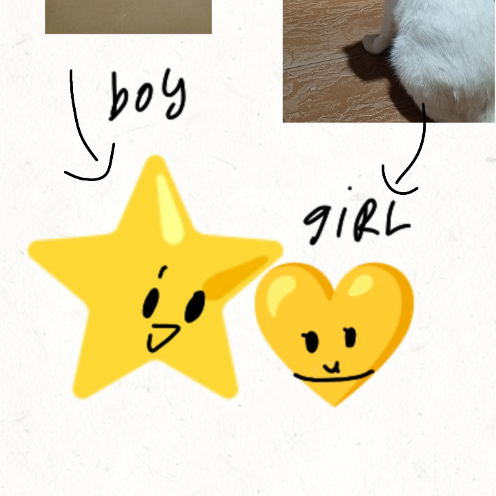 Post from >^-Tini_kit-^