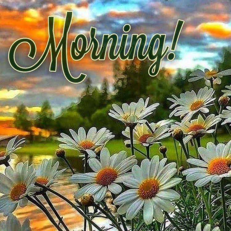 Post from Lighting their way home