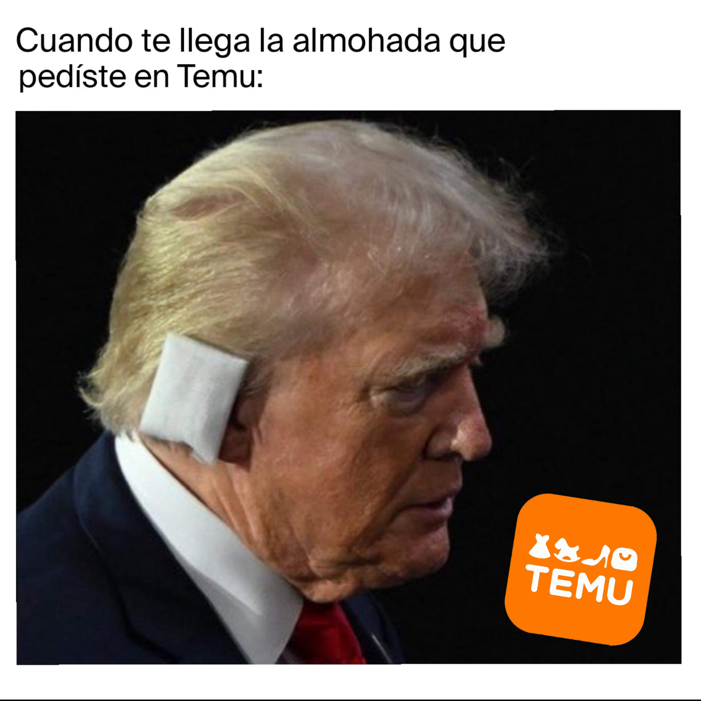 Post from SnowFlake Freak