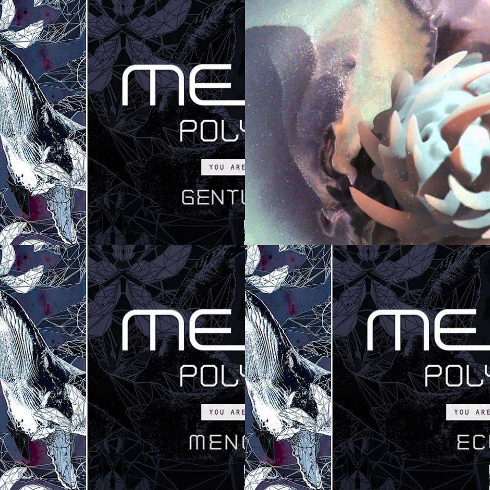 MESTIS - Polysemy