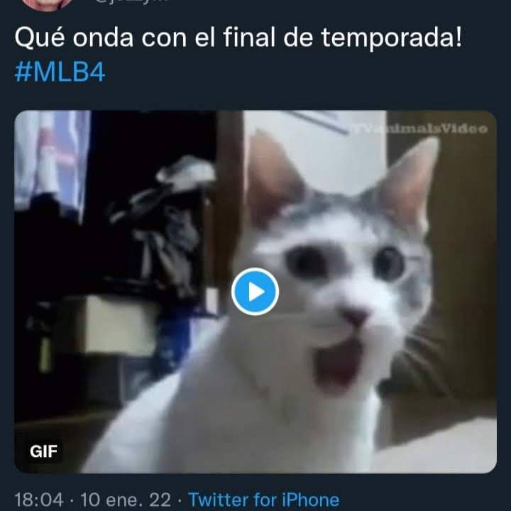 Post from Kitty Section