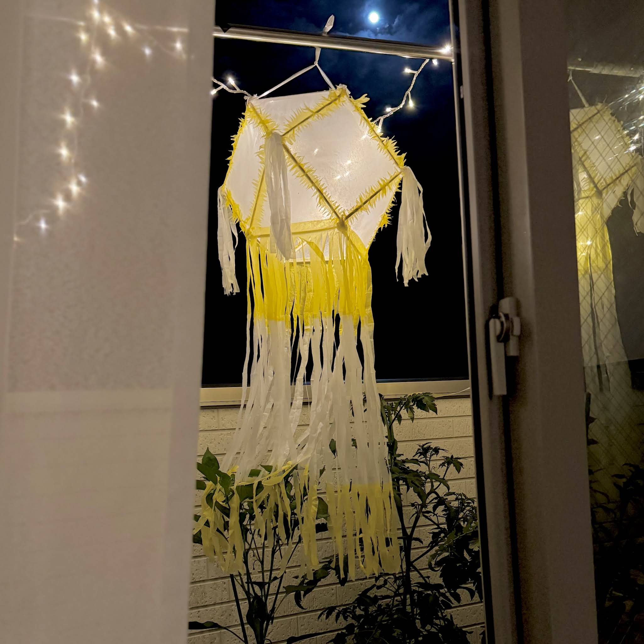 Post from Pawani Perera